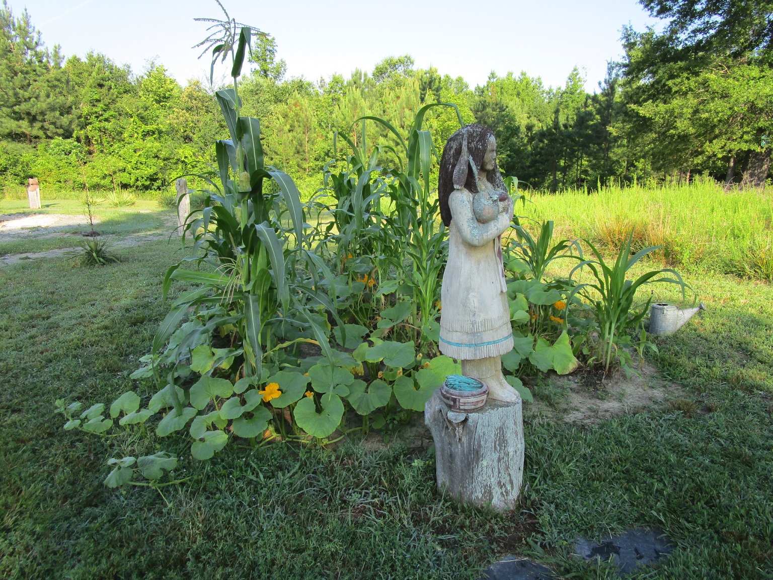 A Growing Project: Come Visit Southern Virginia Botanical Gardens